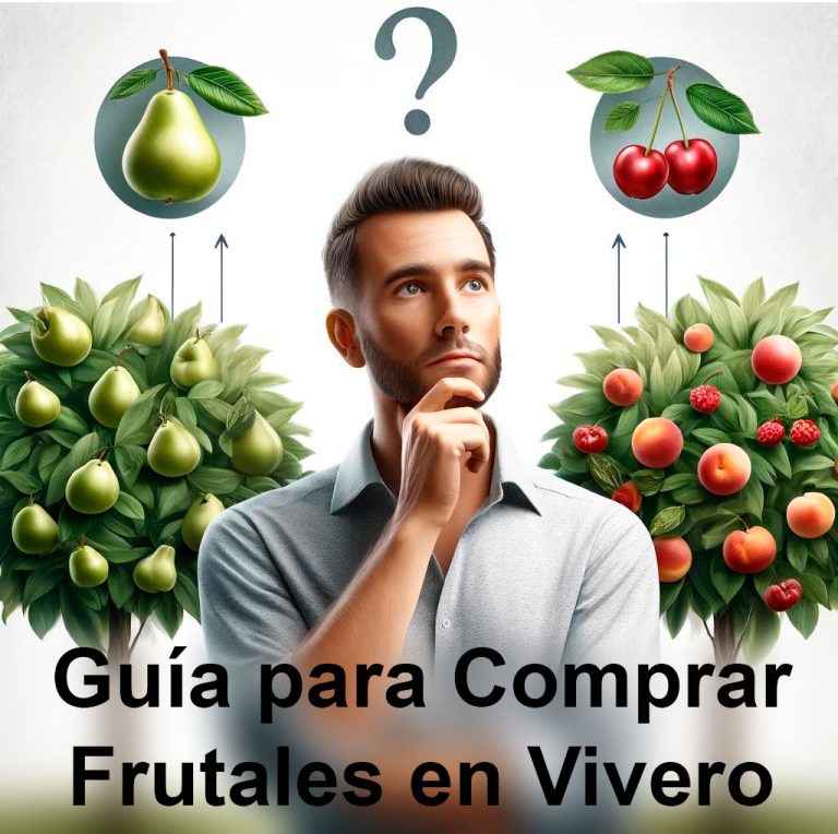Guía para Comprar Frutales en vivero: Todo lo que Necesitas Saber ...
